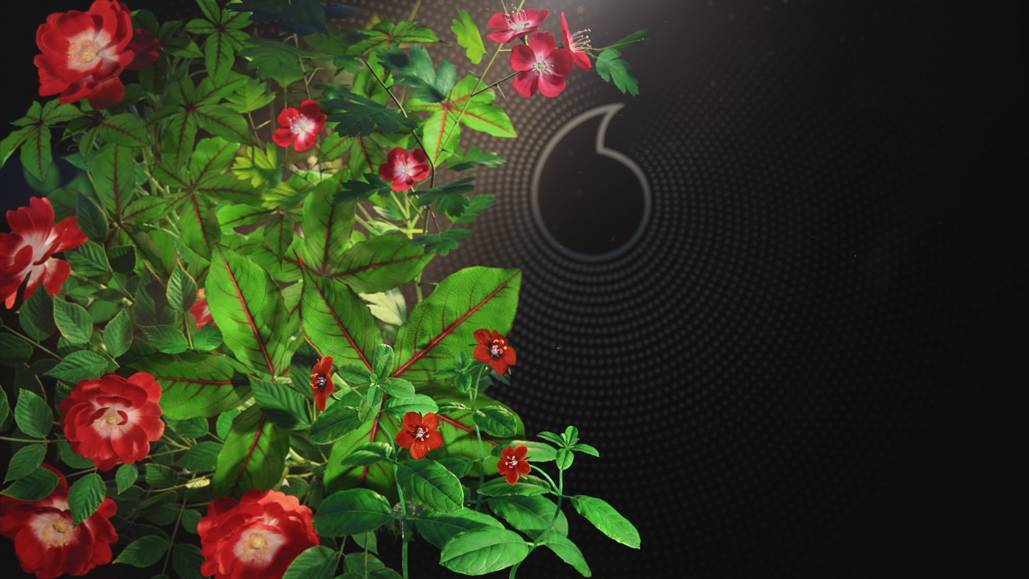 PITCH NEW TALENT: AMY HEYES - Coffee & TV