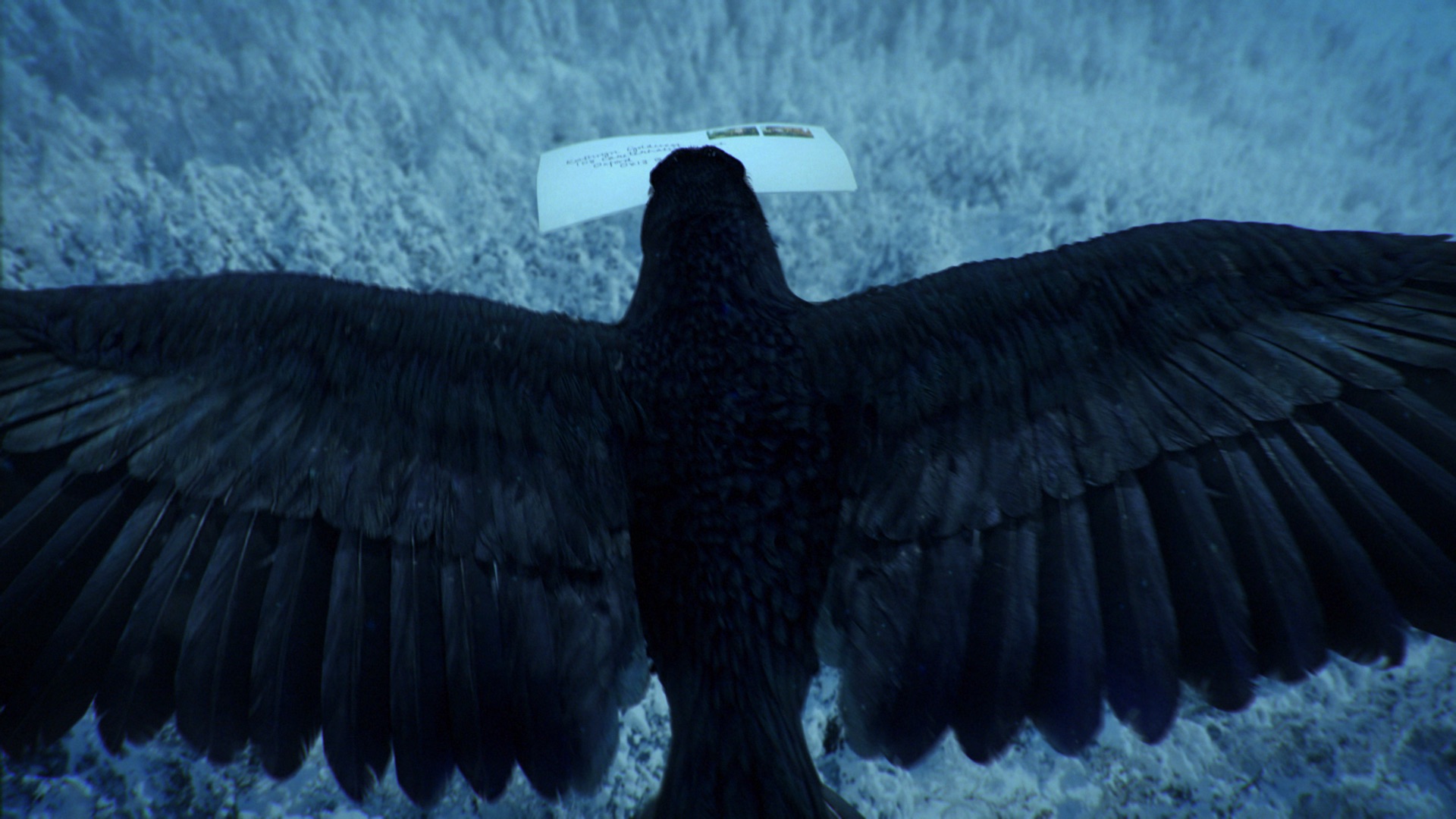 GAME OF THRONES STAMPS - Coffee & TV