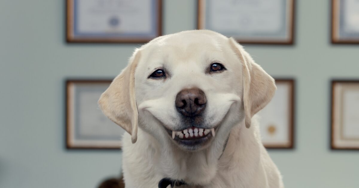 BRITISH TEETH - Coffee & TV